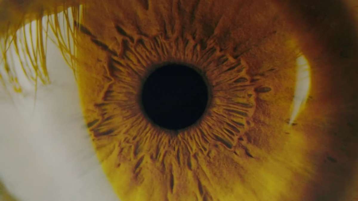 Meet Nano Retina: Giving the gift of sight | SCHOTT